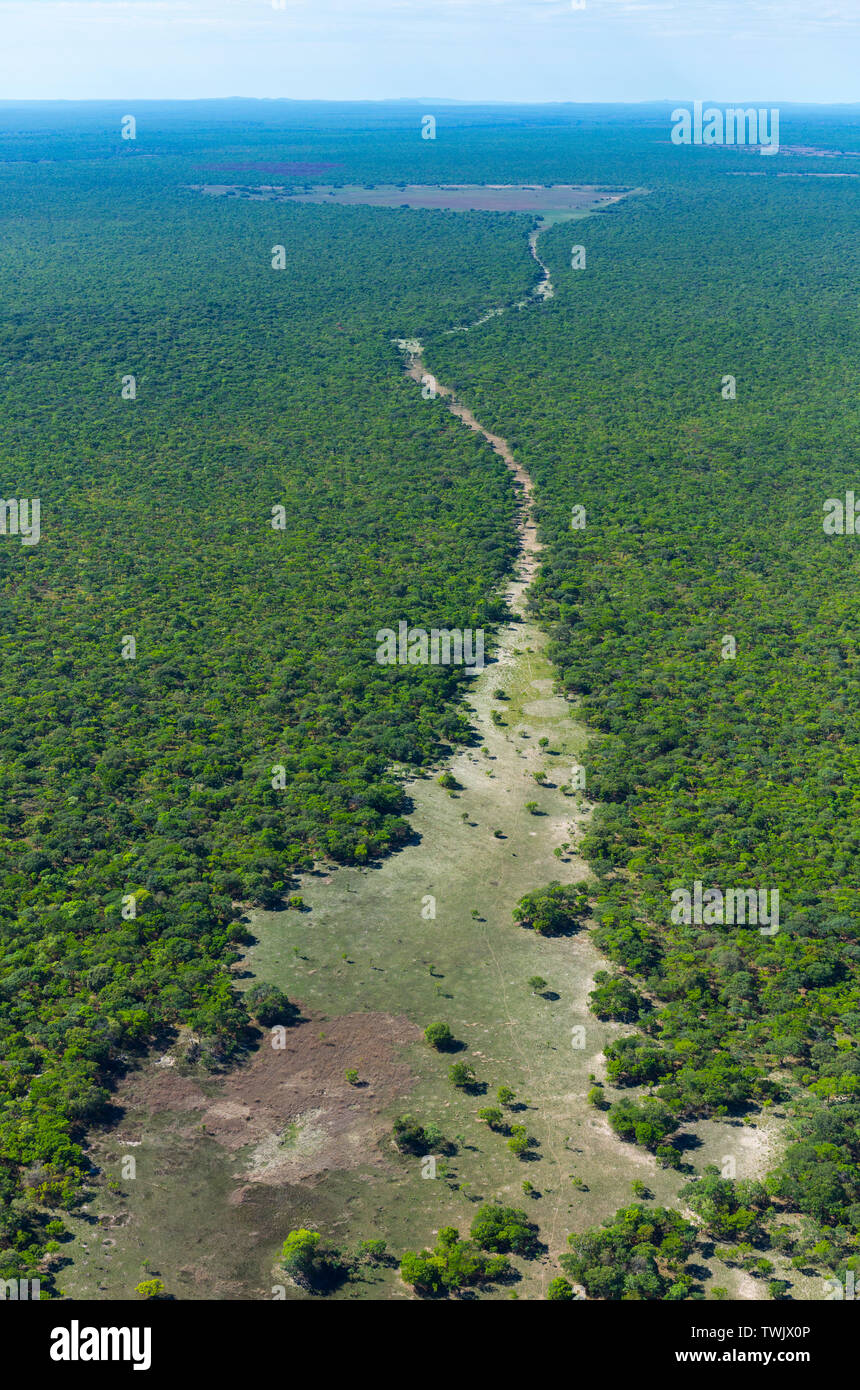 Kasanka National Park, Serenje, Provincia central, Zambia, Africa Stock ...