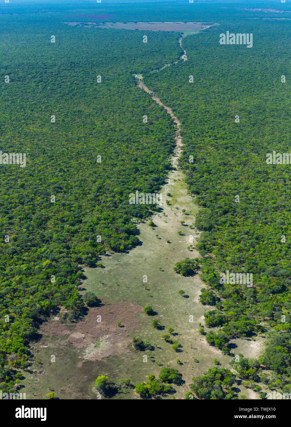 Kasanka National Park, Serenje, Provincia central, Zambia, Africa Stock ...