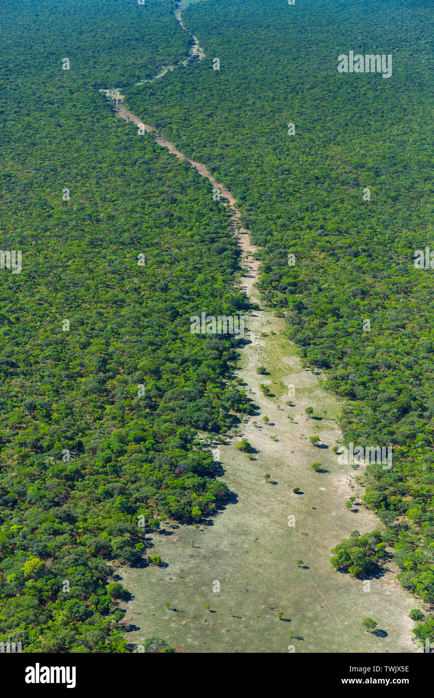 Kasanka National Park, Serenje, Provincia central, Zambia, Africa Stock ...