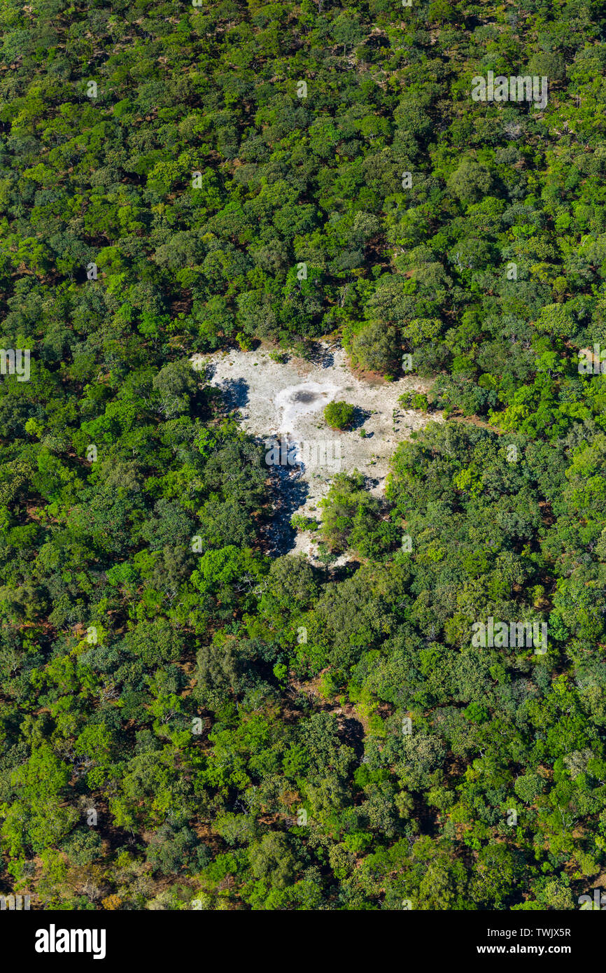Kasanka National Park, Serenje, Provincia central, Zambia, Africa Stock ...