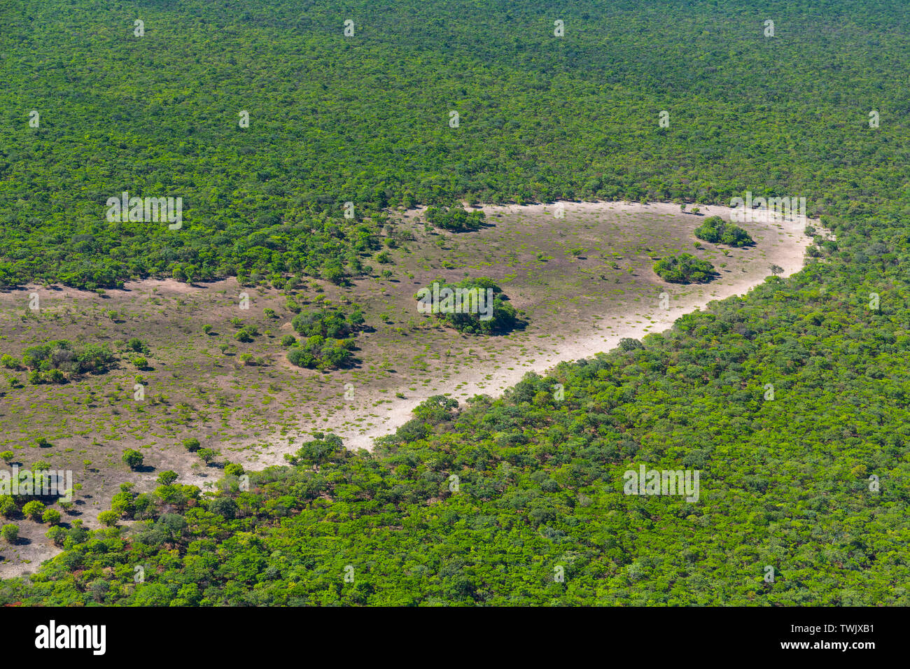 Kasanka National Park, Serenje, Provincia central, Zambia, Africa Stock ...