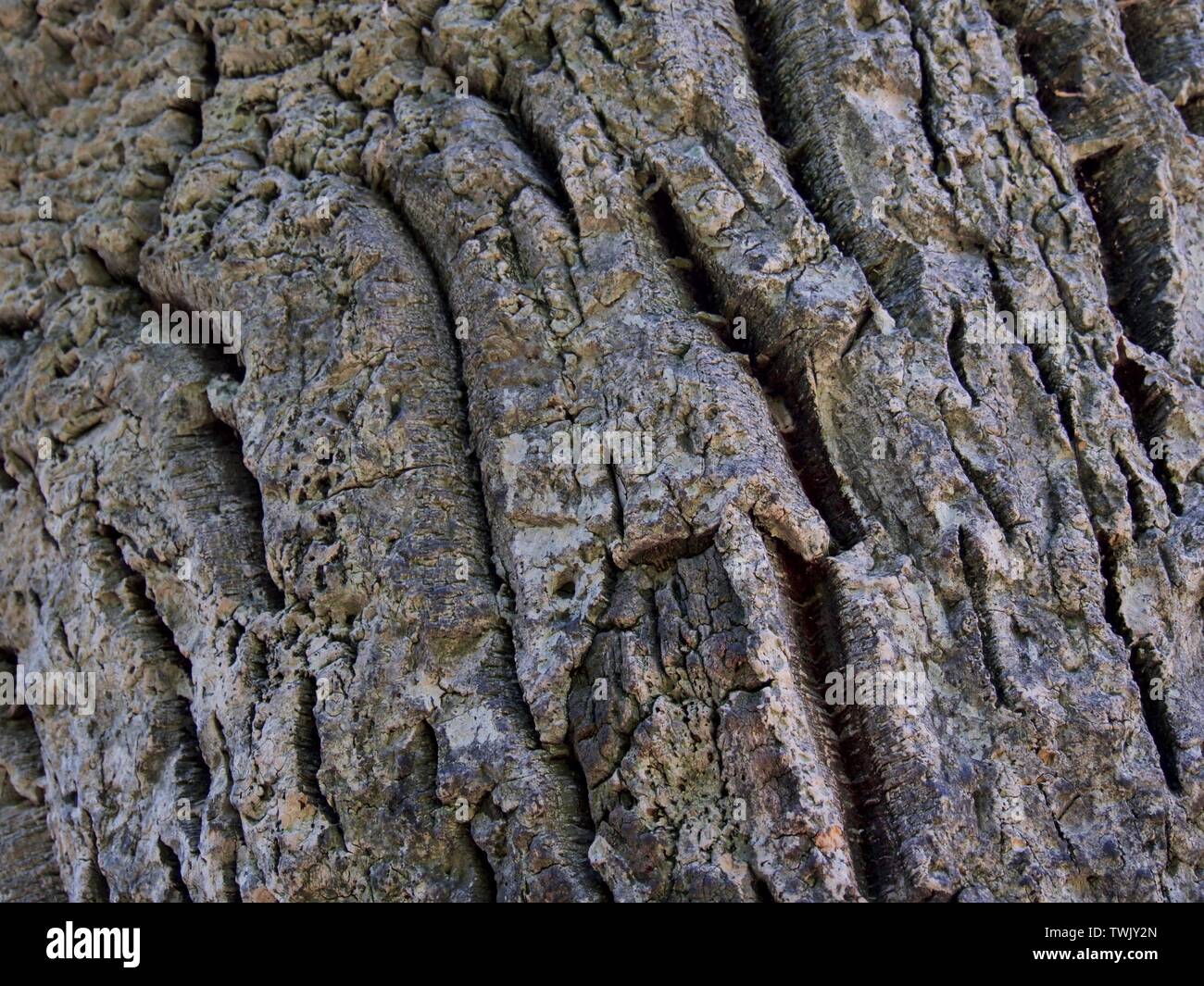 Circle cork texture hi-res stock photography and images - Alamy