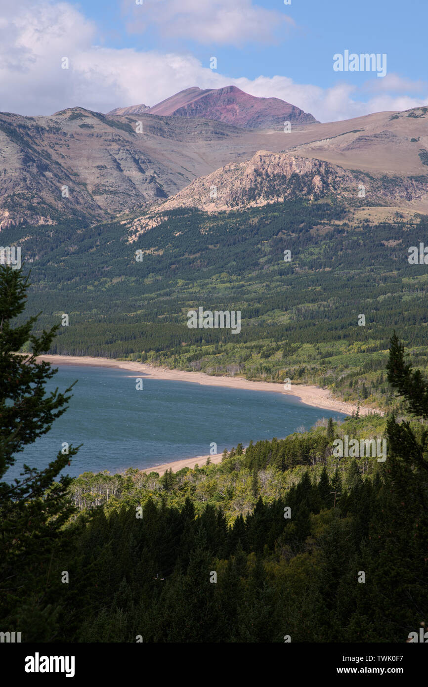 Two medicine forest hi-res stock photography and images - Alamy