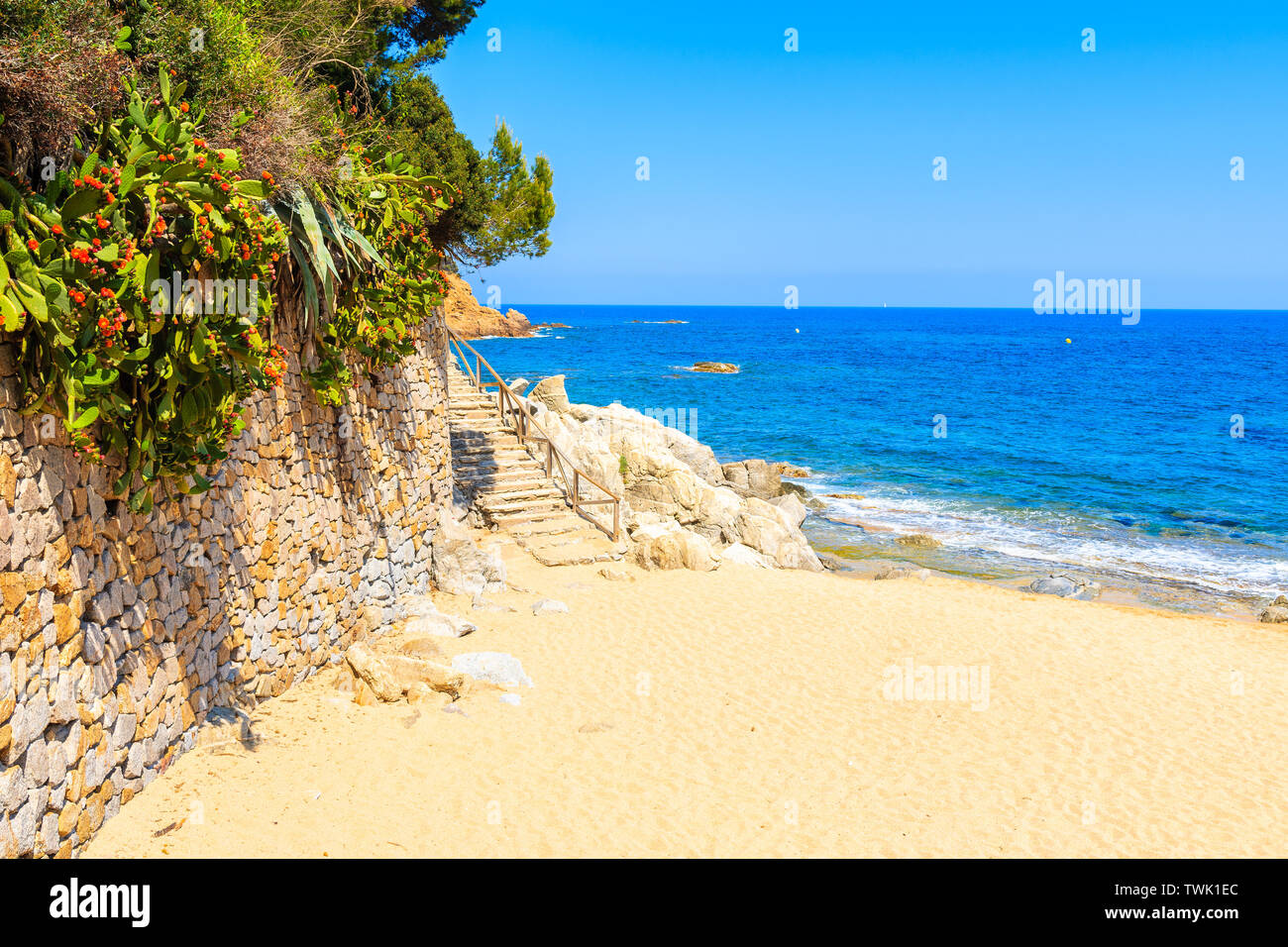 Beautiful sandy beach at Cap Roig, Costa Brava, Spain Stock Photo - Alamy