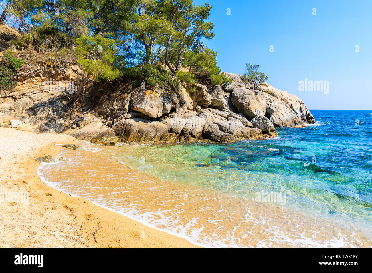 Secluded sandy Cala Pi beach near Cap Roig, Costa Brava, Spain Stock ...