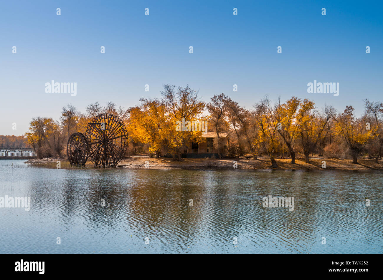 Poplar Lin, lake, reflection, beautiful scenery Stock Photo - Alamy