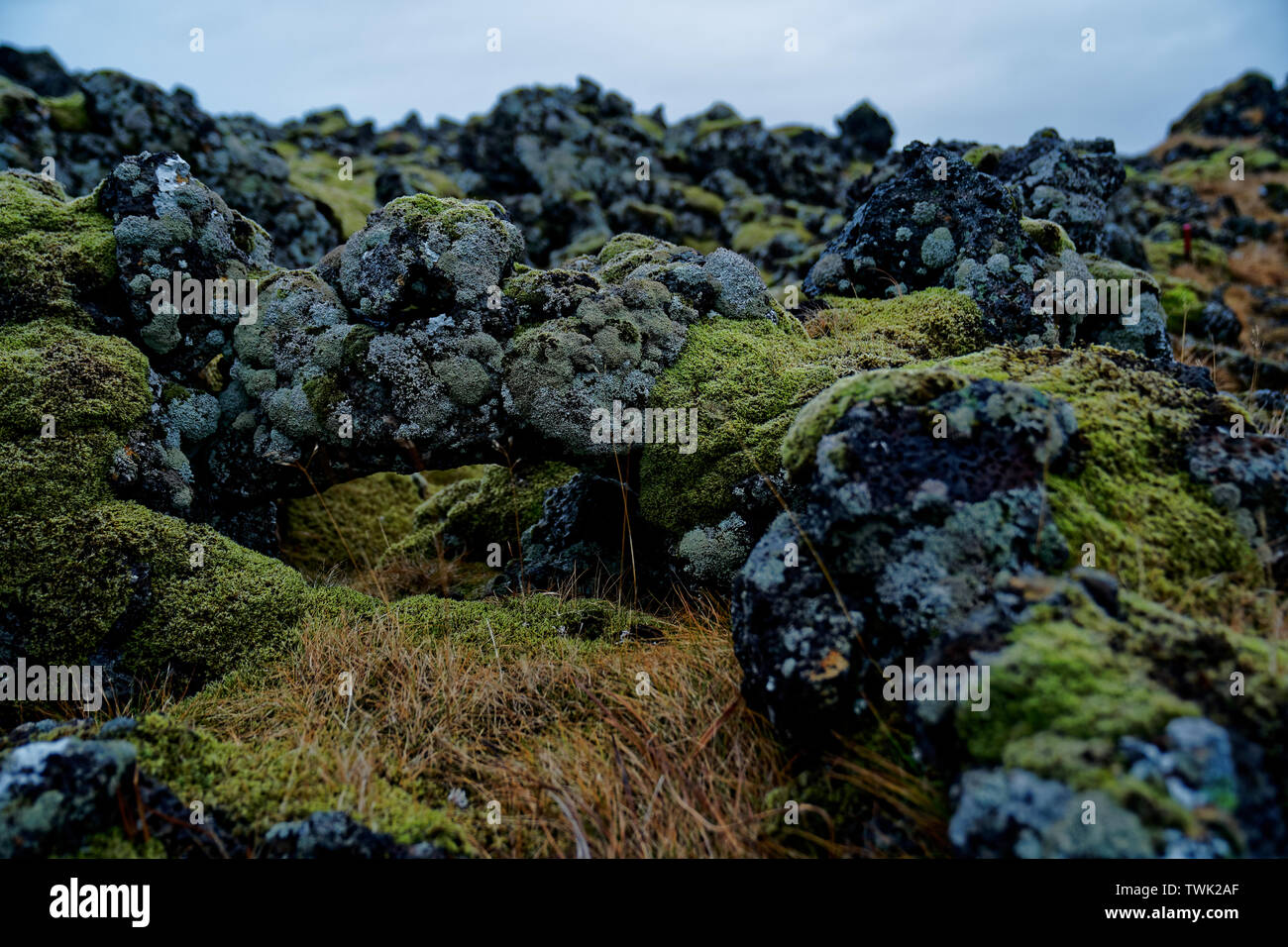 Lava scree field hi-res stock photography and images - Alamy