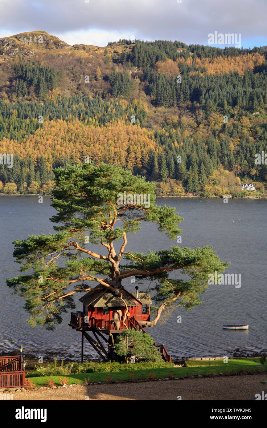 Loch goil treehouse hi-res stock photography and images - Alamy