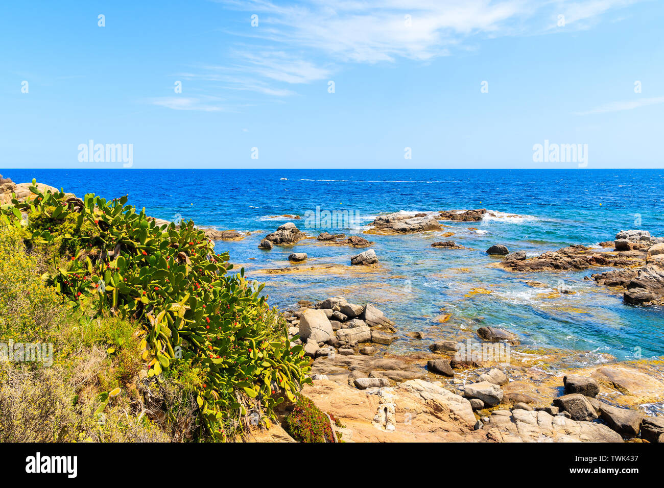View town beach llafranc costa hi-res stock photography and images - Alamy