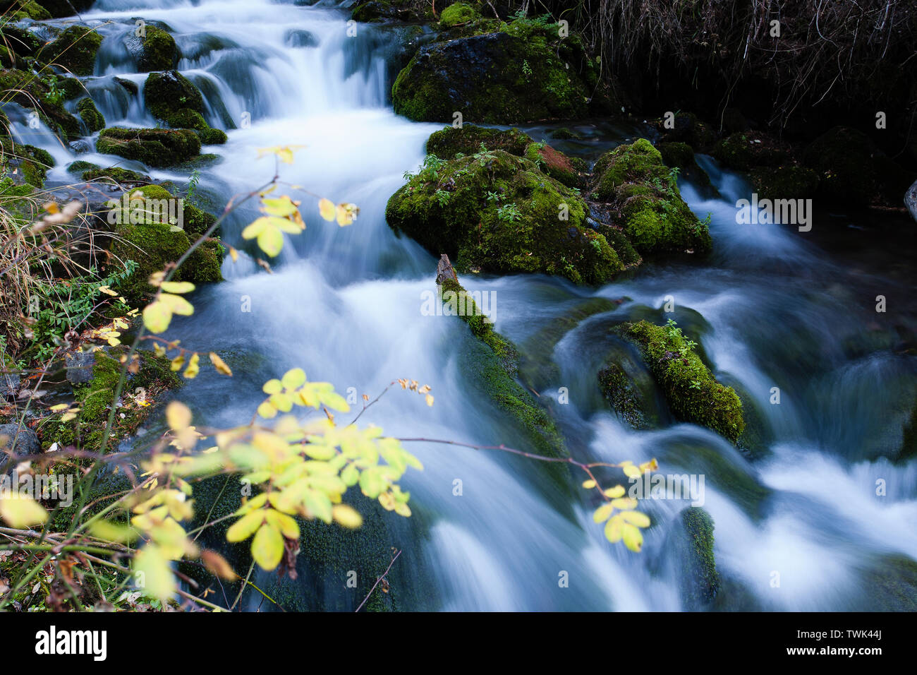 The stream of Tianchi Stock Photo - Alamy