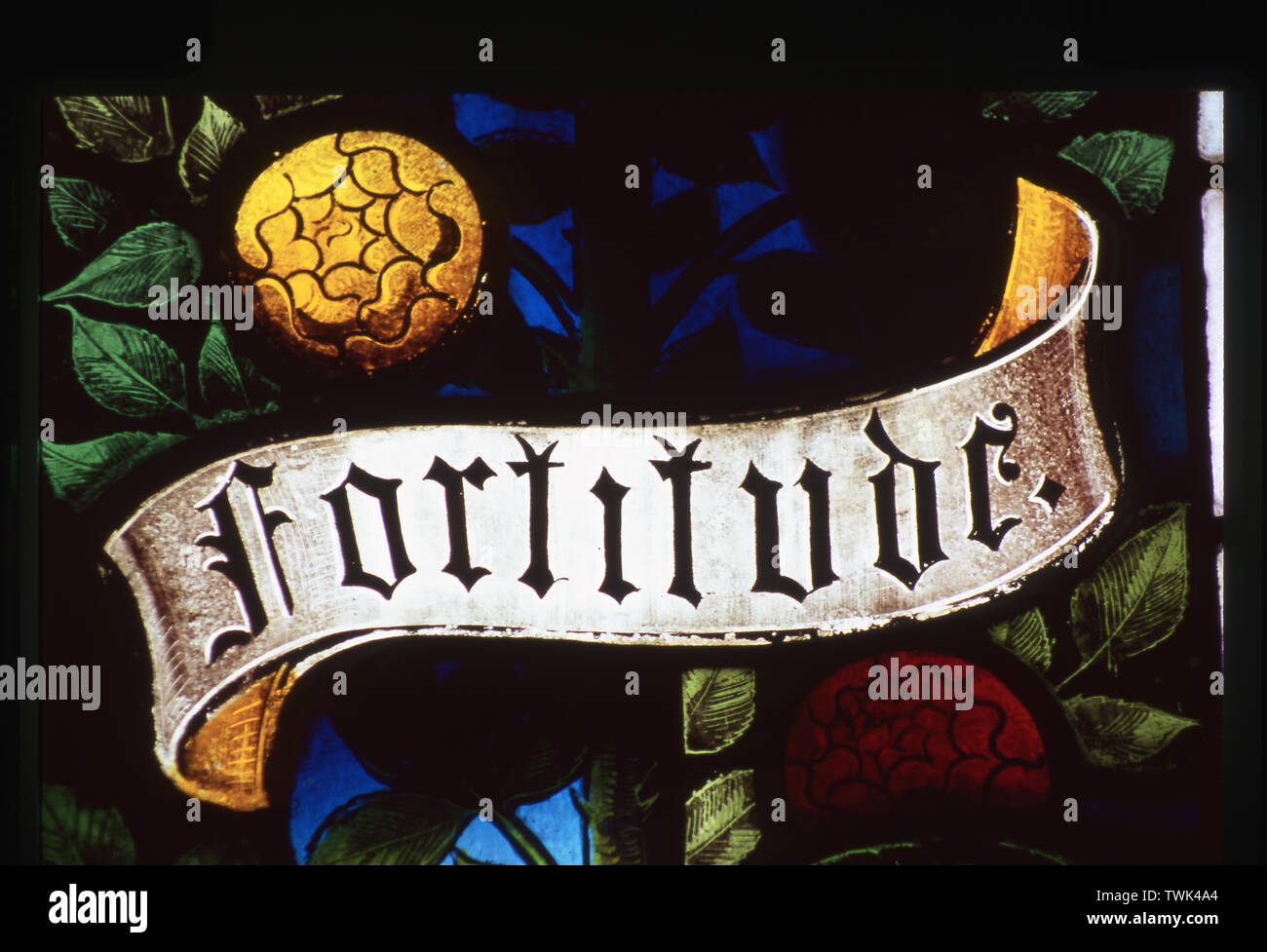 Catholic Fortitude Symbol