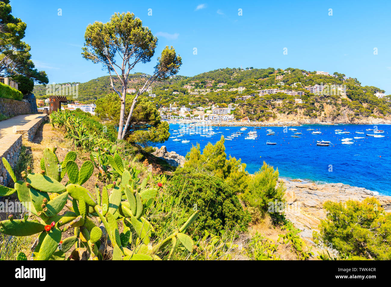 View town beach llafranc costa hi-res stock photography and images - Alamy