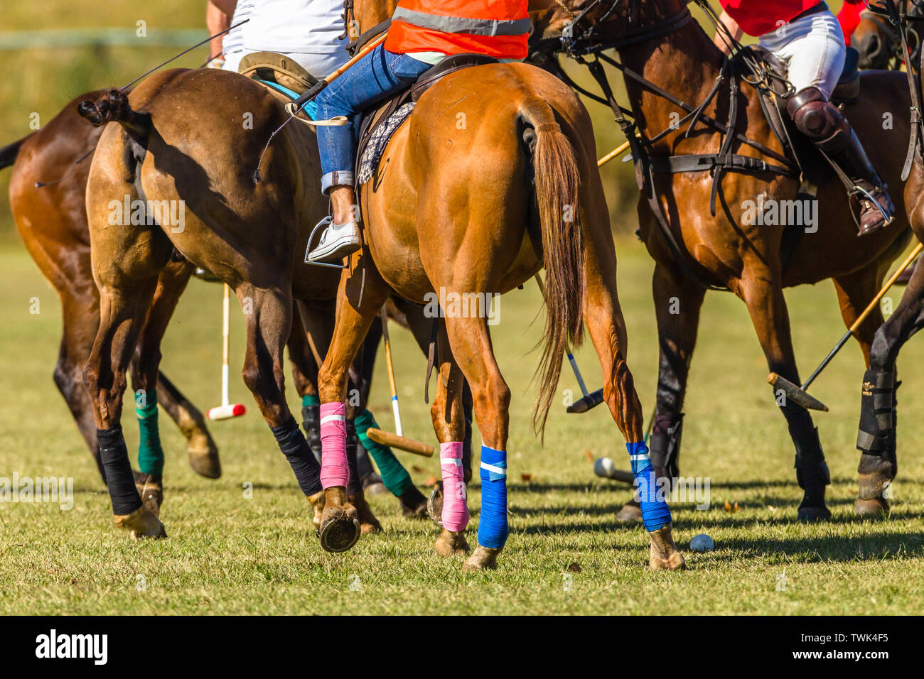 Polo Riders Players Horses and referee unidentified abstract bunched ...