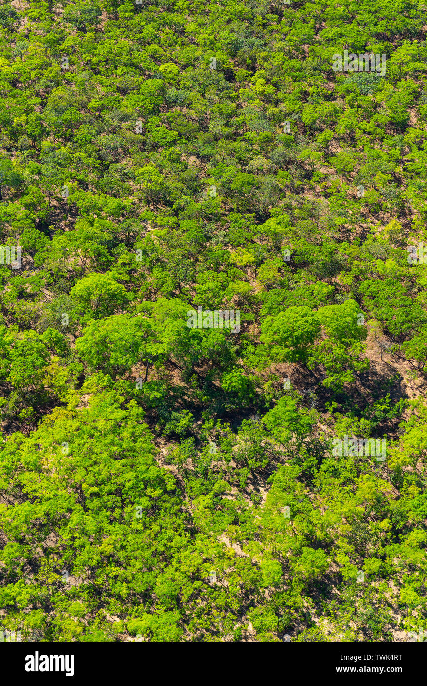 Kasanka National Park, Serenje, Provincia central, Zambia, Africa Stock ...