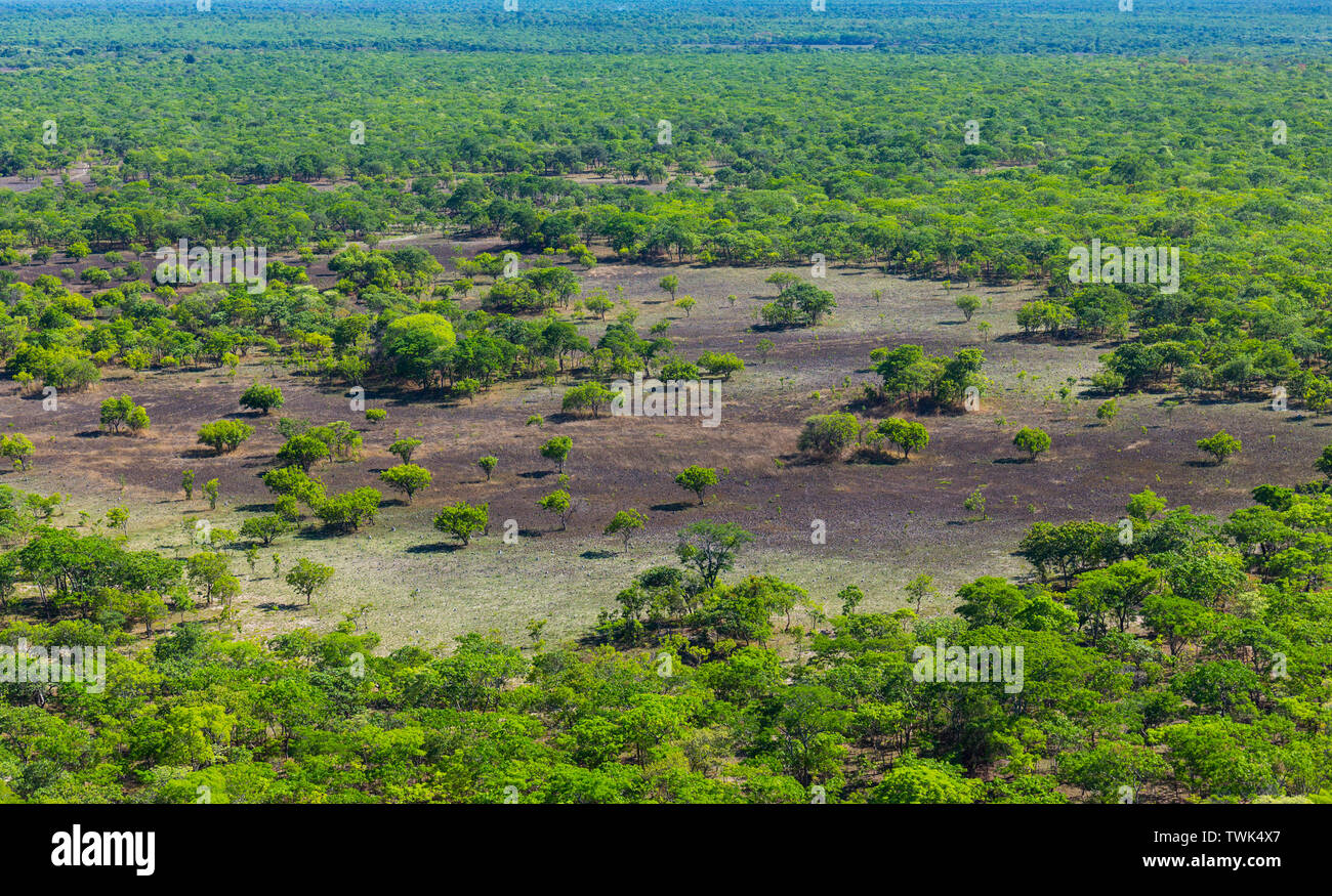 Kasanka National Park, Serenje, Provincia central, Zambia, Africa Stock ...
