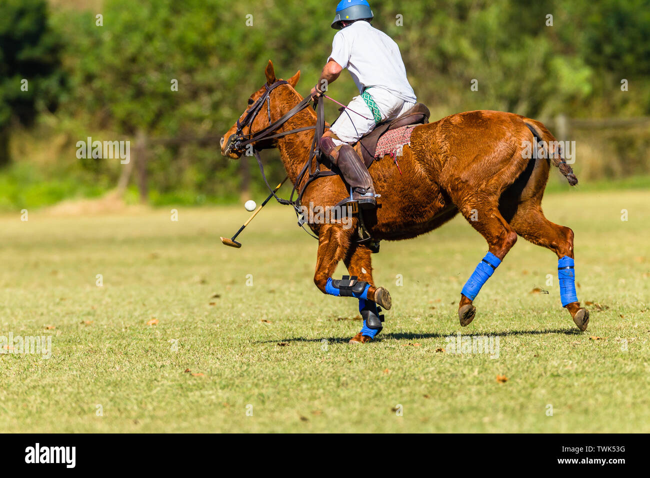 Polo Horse Rider closeup unidentified striking mallet to ball game ...