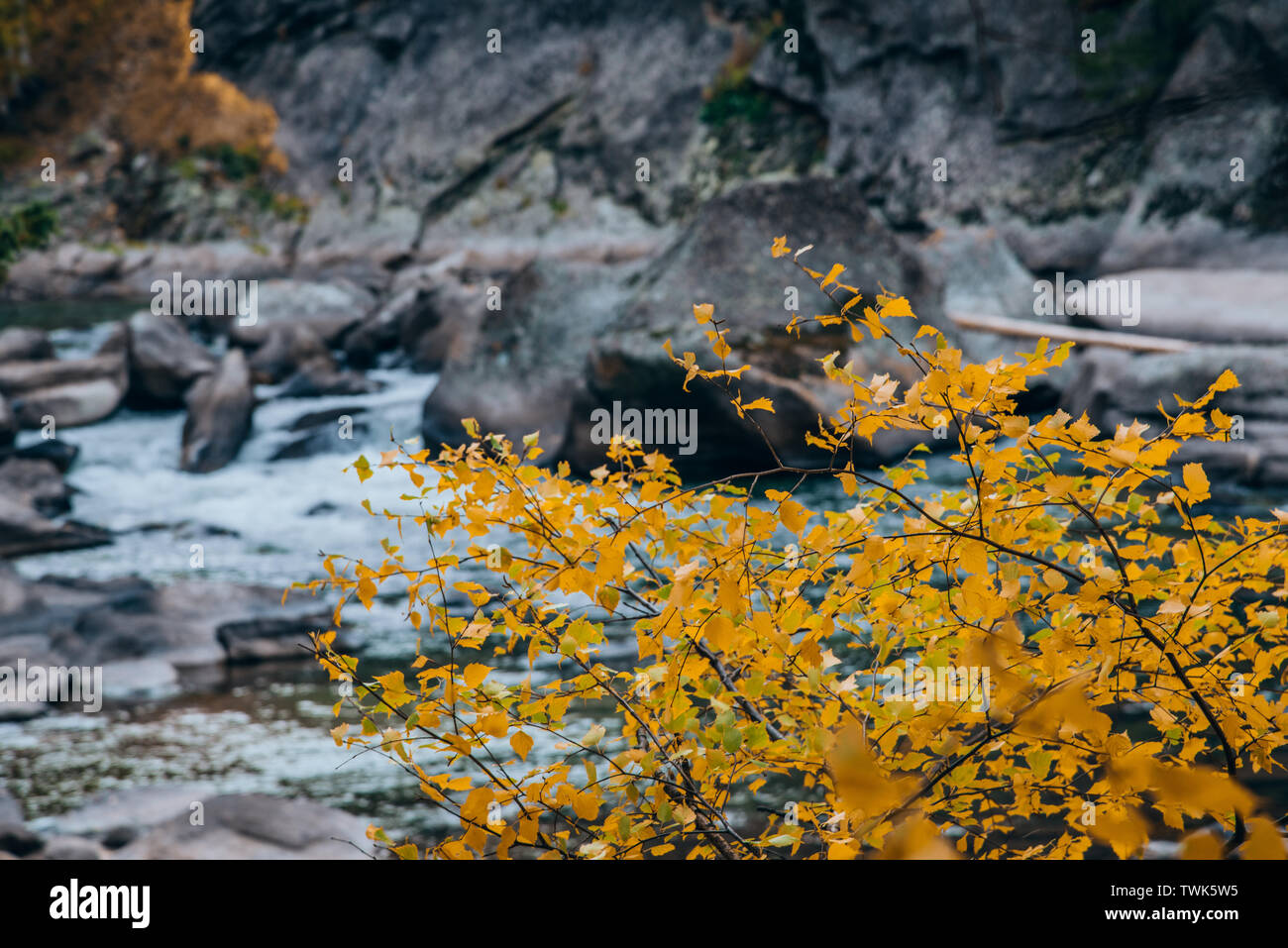 Beautiful Xinjiang River Valley Stock Photo - Alamy