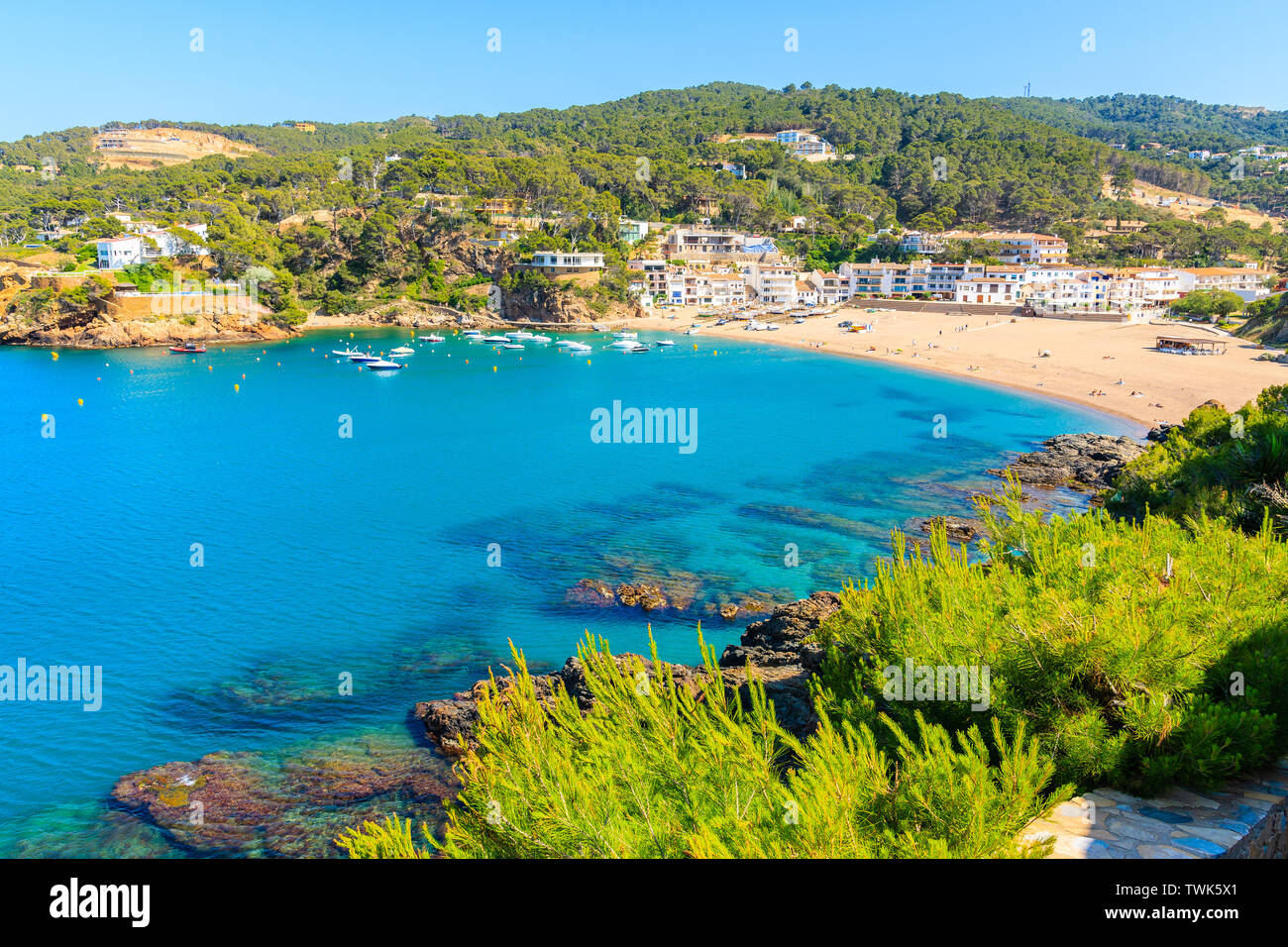 Green plants on coastal path to beautiful bay and beach in Sa Riera ...