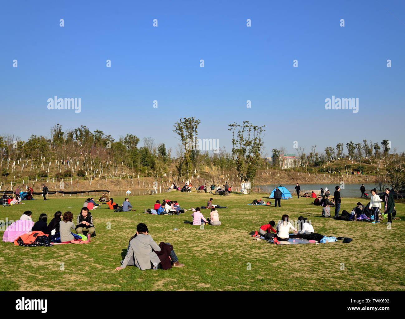 Girls sunbathing park group hi-res stock photography and images - Alamy