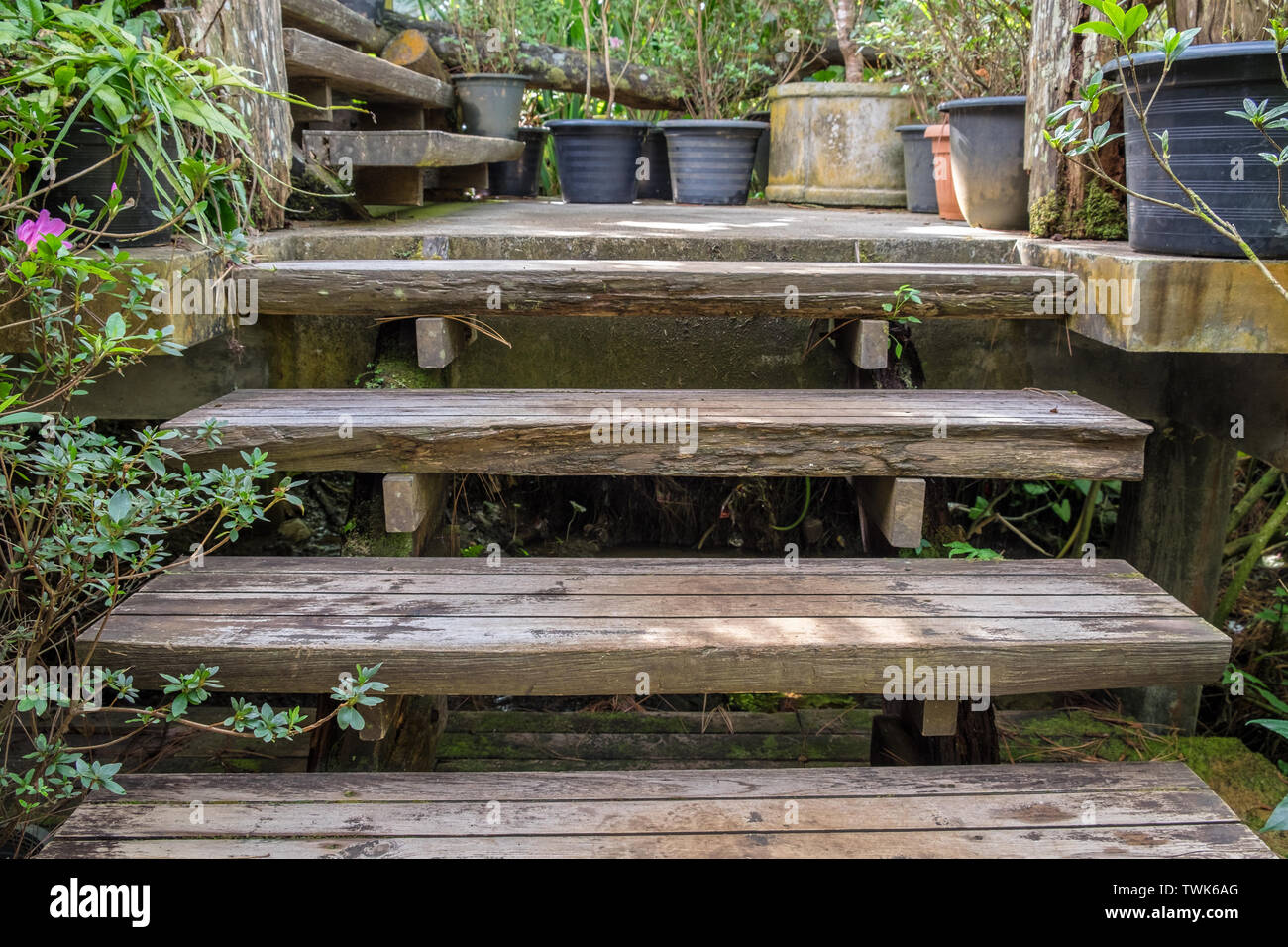 Old decay wood stairs up in shady garden Stock Photo - Alamy