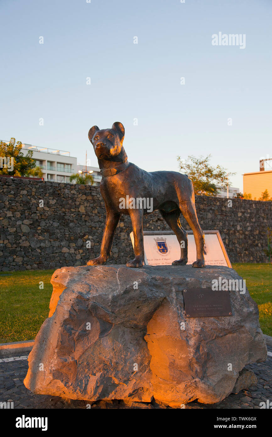 Fila acores hi-res stock photography and images - Alamy