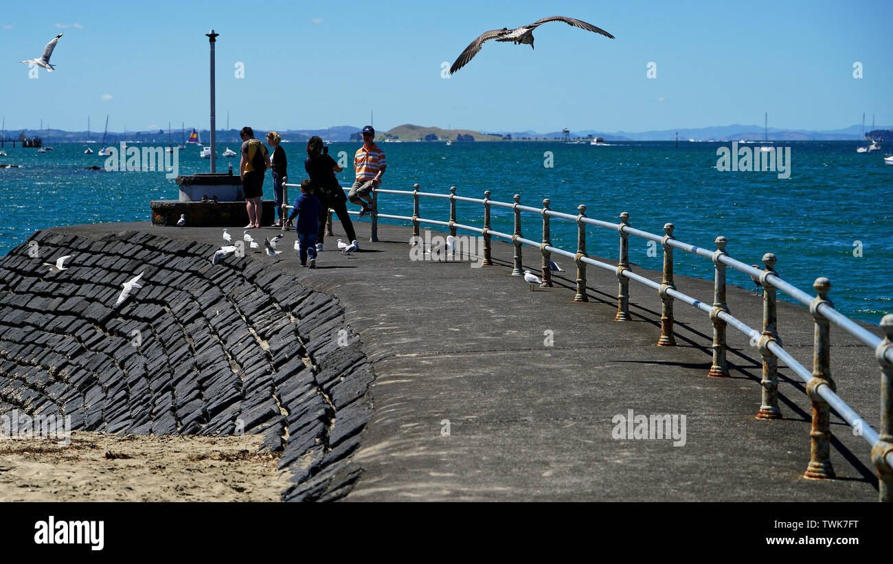 New zealand photographs hi-res stock photography and images - Alamy
