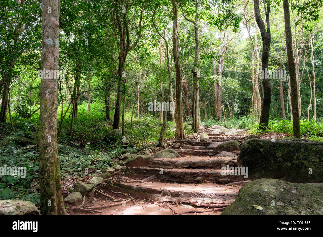 Huay yang national park hi-res stock photography and images - Alamy