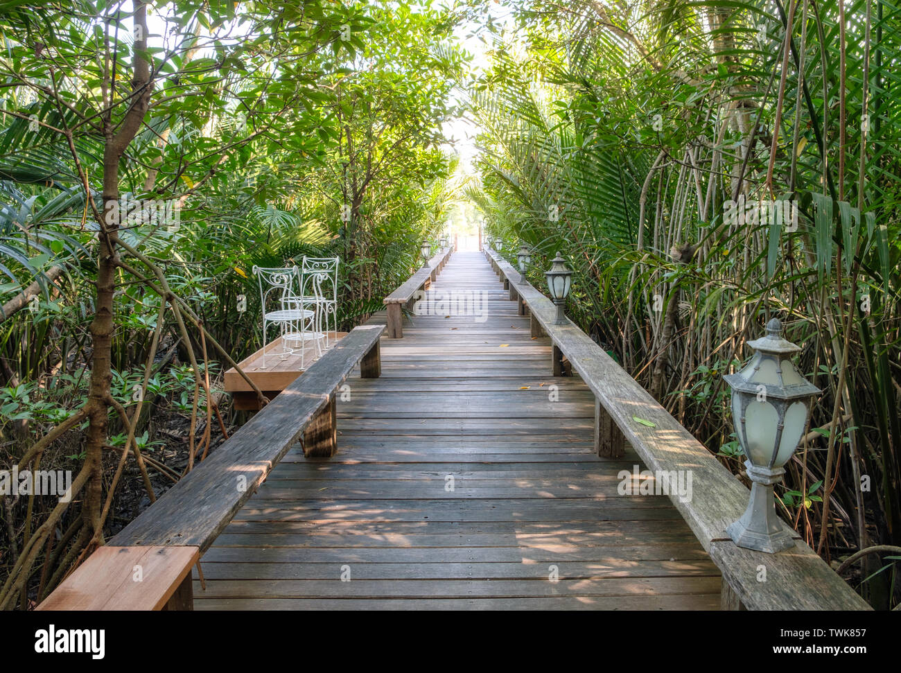 Wooden pathway straight in tropical shade garden Stock Photo - Alamy