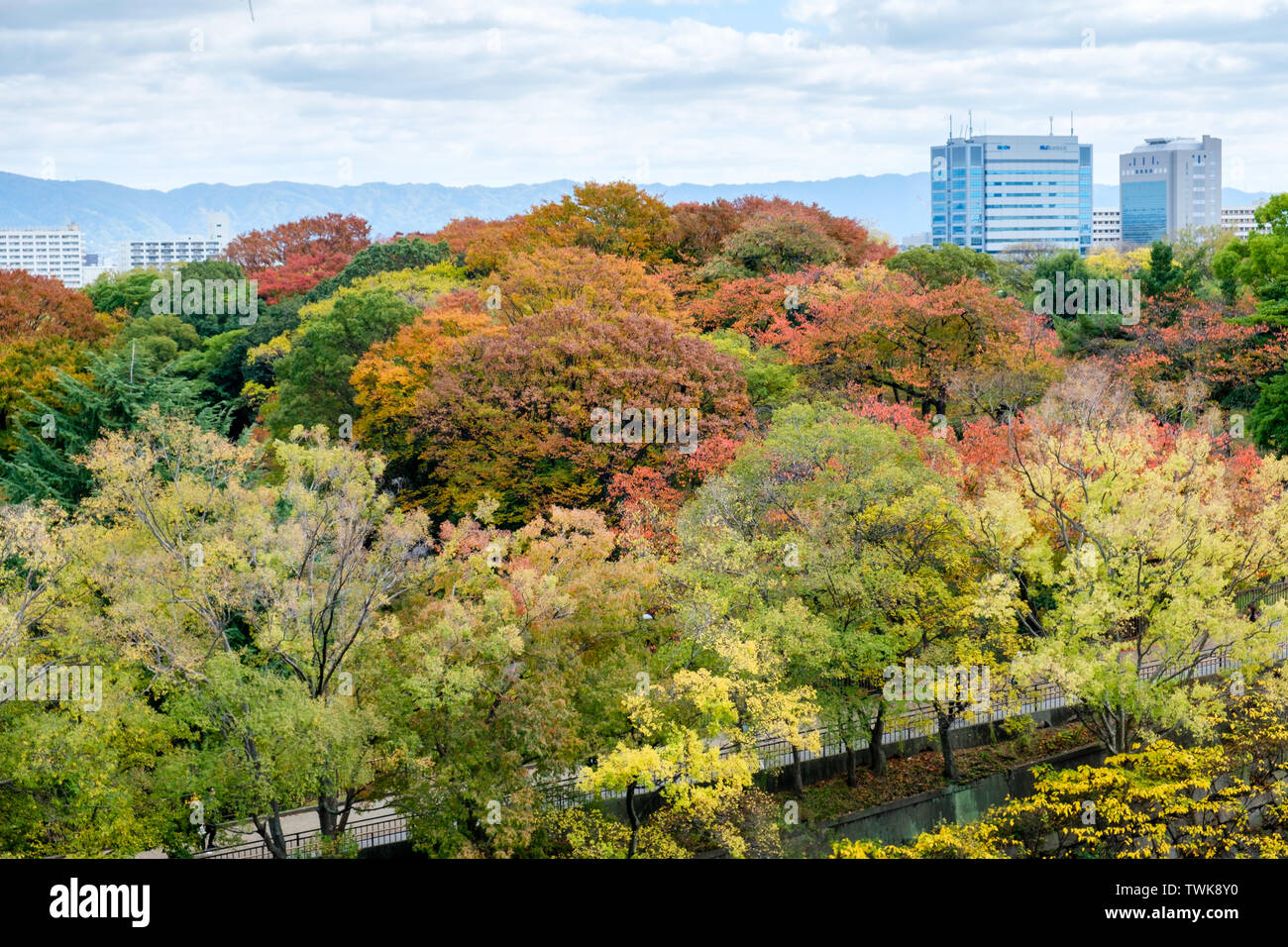 Osaka national park hi-res stock photography and images - Alamy