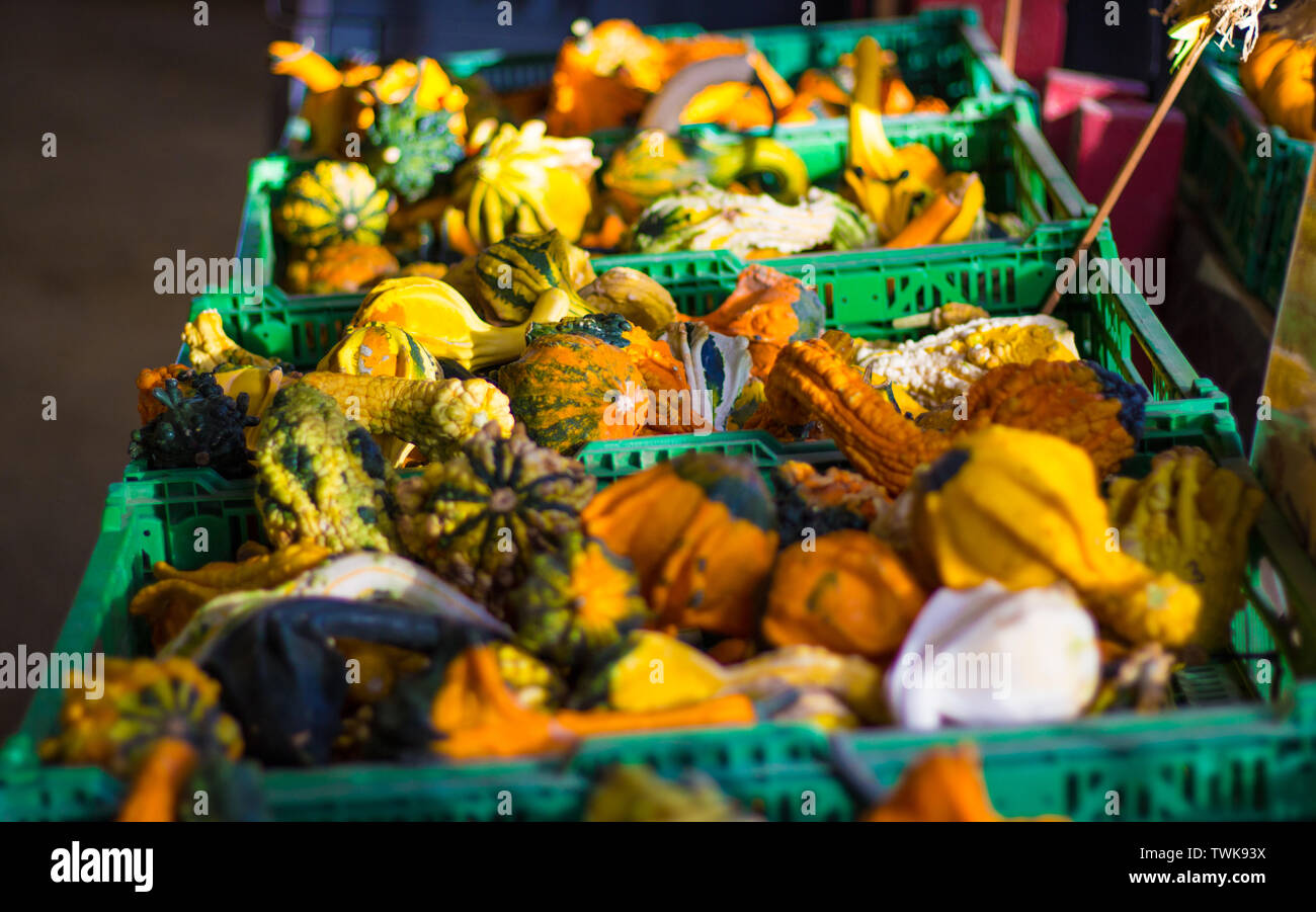 Baskets of gourds from autumn harvest Stock Photo - Alamy