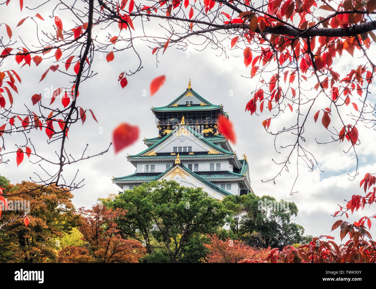Architecture Osaka castle with red leaves falling in autumn park at ...