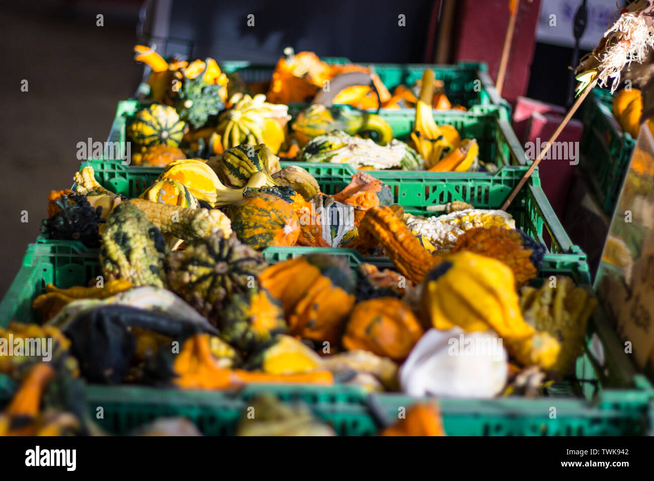 Baskets of gourds from autumn harvest Stock Photo - Alamy
