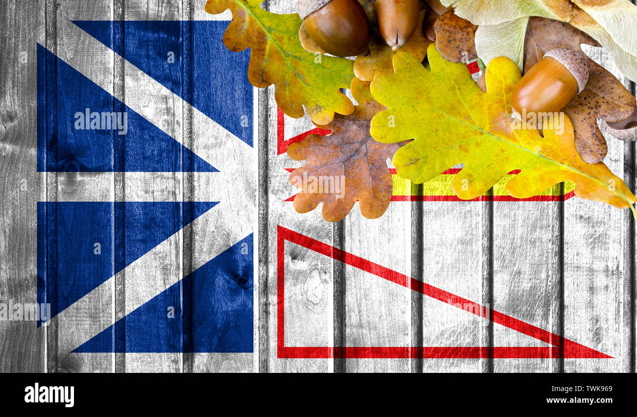 Newfoundland and Labrador flag on autumn wooden background with leaves ...