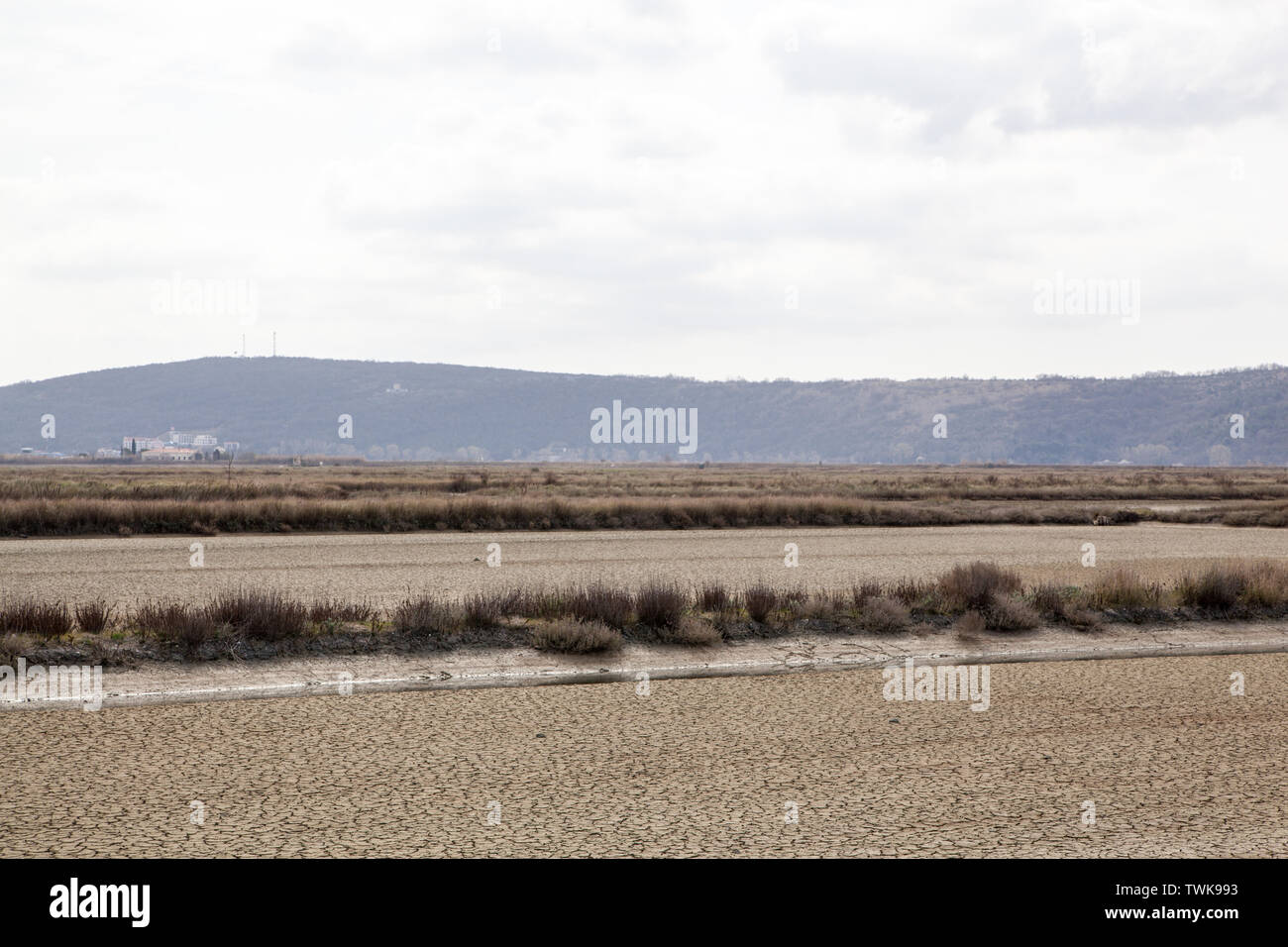 Salt pan texture hi-res stock photography and images - Alamy