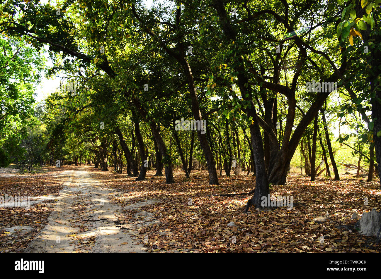 Tala zone hi-res stock photography and images - Alamy