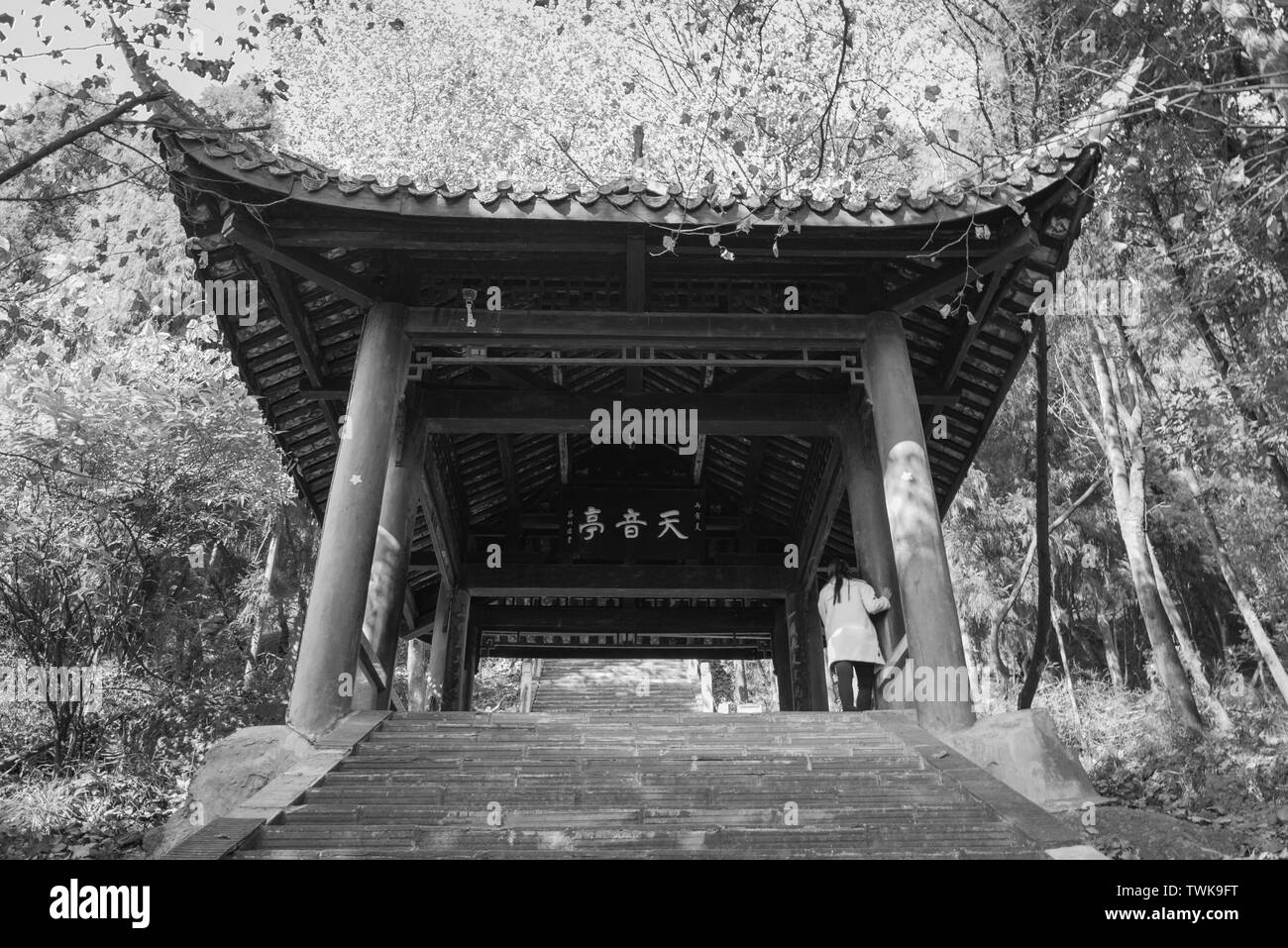 Jiangyou hi-res stock photography and images - Alamy