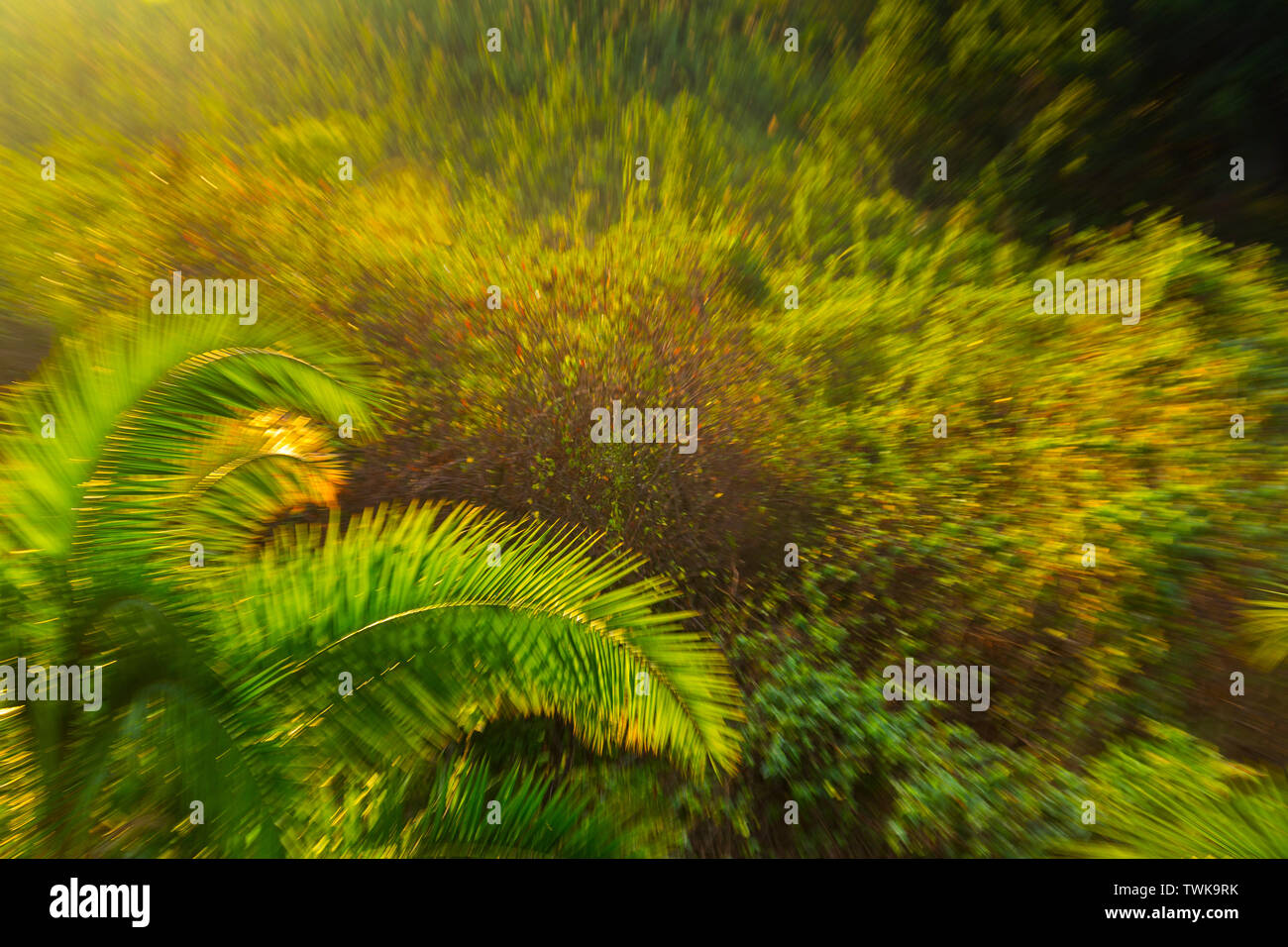 Kasanka National Park, Serenje, Zambia, Africa Stock Photo - Alamy