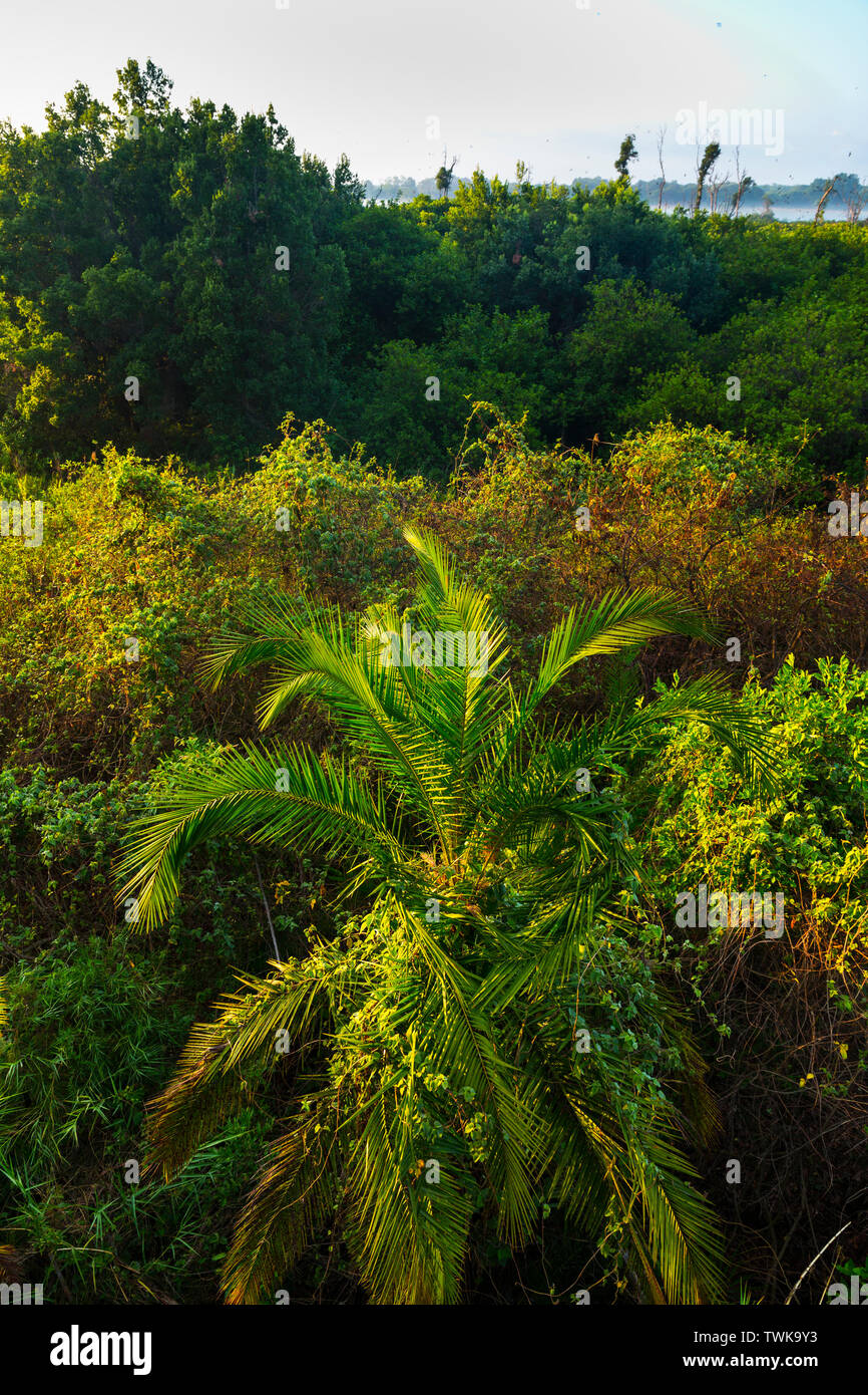 Serenje hi-res stock photography and images - Alamy