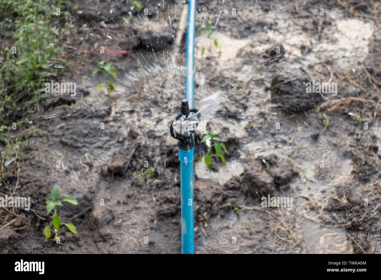 Blue pipe in soil hi-res stock photography and images - Alamy