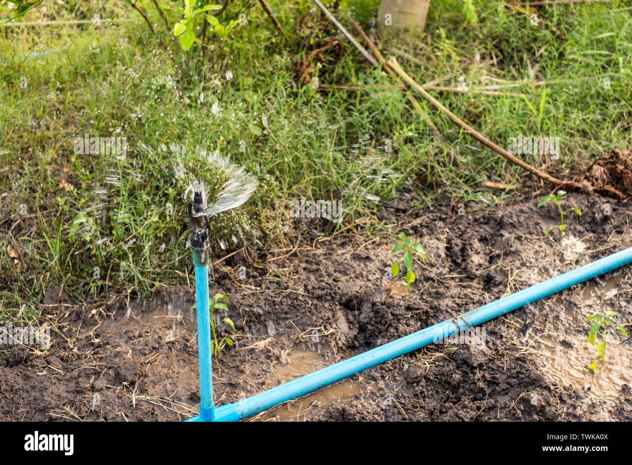 Blue pipe in soil hi-res stock photography and images - Alamy