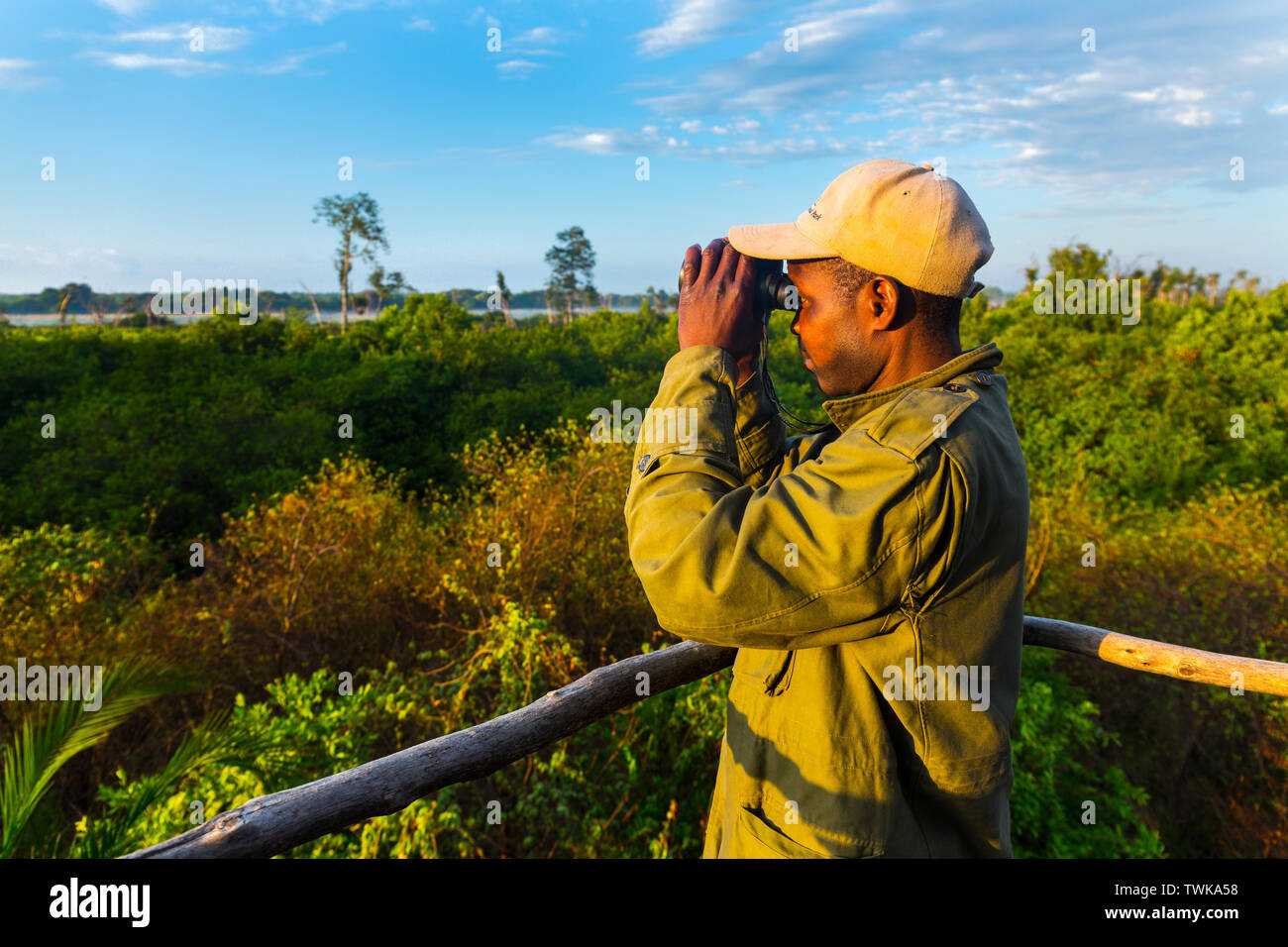Ranger, Viewing tower, Kasanka Bat migration, Kasanka National Park ...