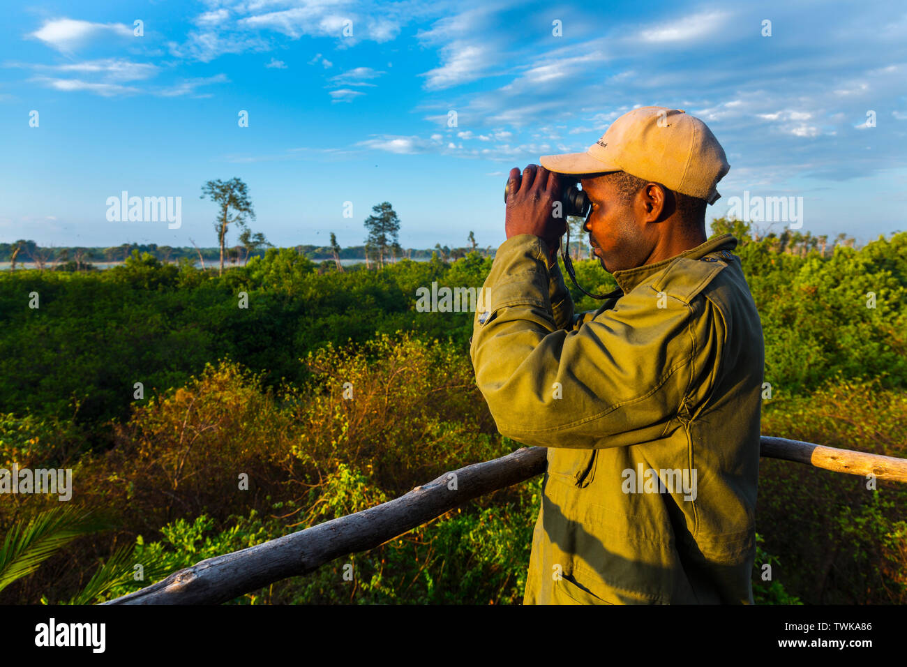 Ranger, Viewing tower, Kasanka Bat migration, Kasanka National Park ...