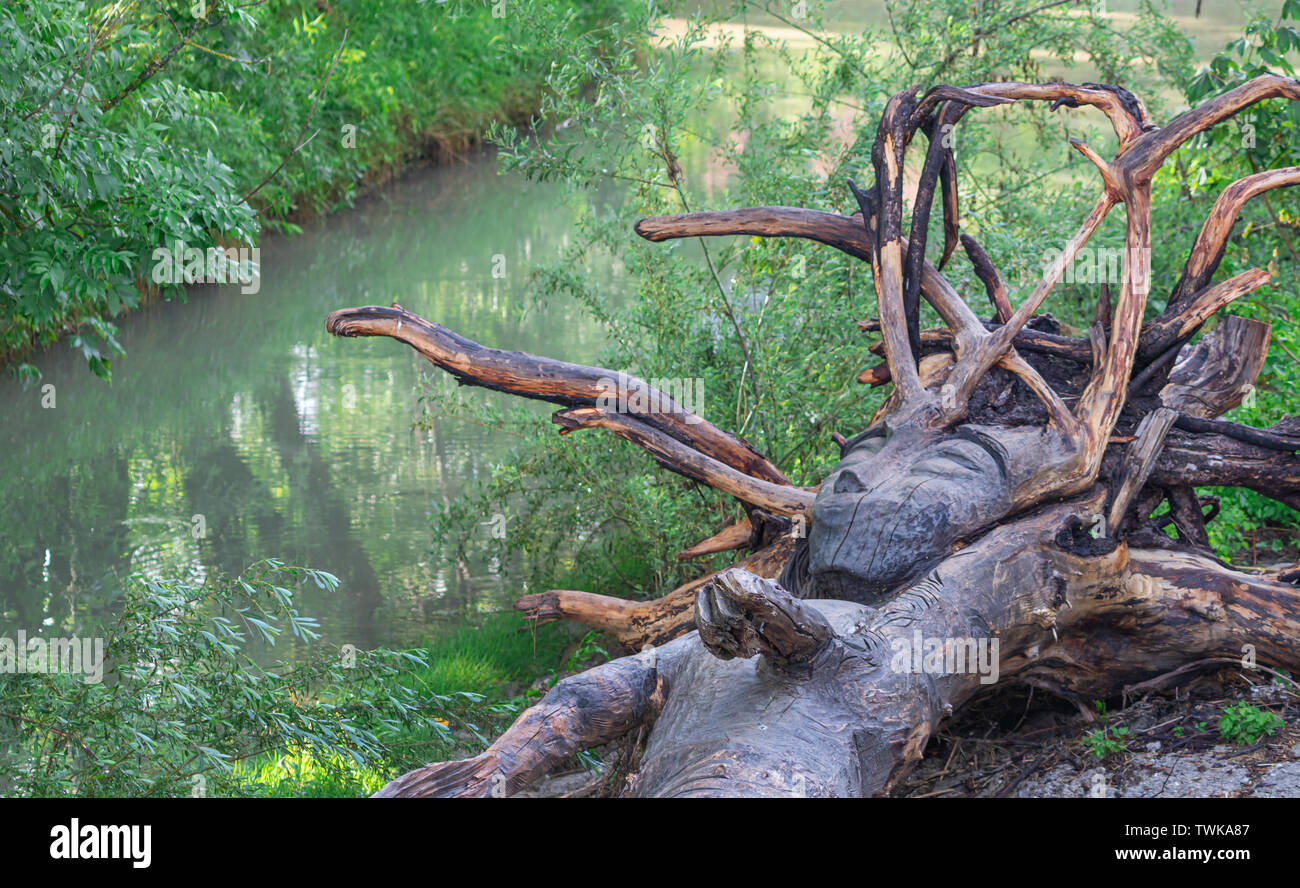 flotsam art wooden woman face in tree trunk, Munich river isar Stock ...