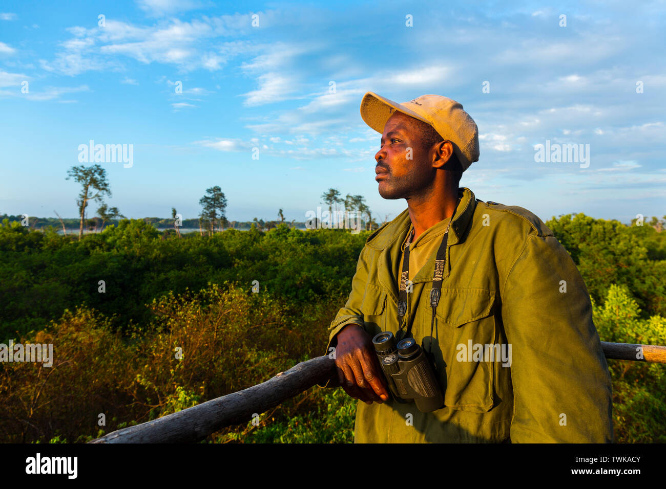 Ranger, Viewing tower, Kasanka Bat migration, Kasanka National Park ...