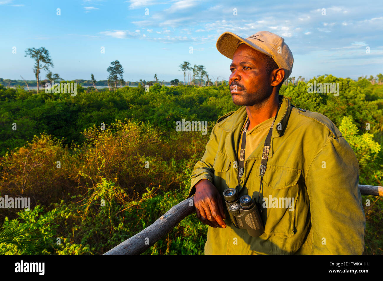 Ranger, Viewing tower, Kasanka Bat migration, Kasanka National Park ...
