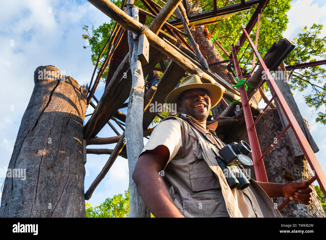Viewing tower, Kasanka Bat migration, Kasanka National Park, Serenje ...