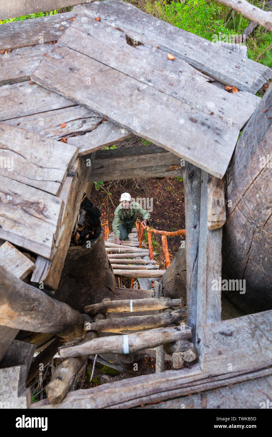 Viewing tower, Kasanka Bat migration, Kasanka National Park, Serenje ...