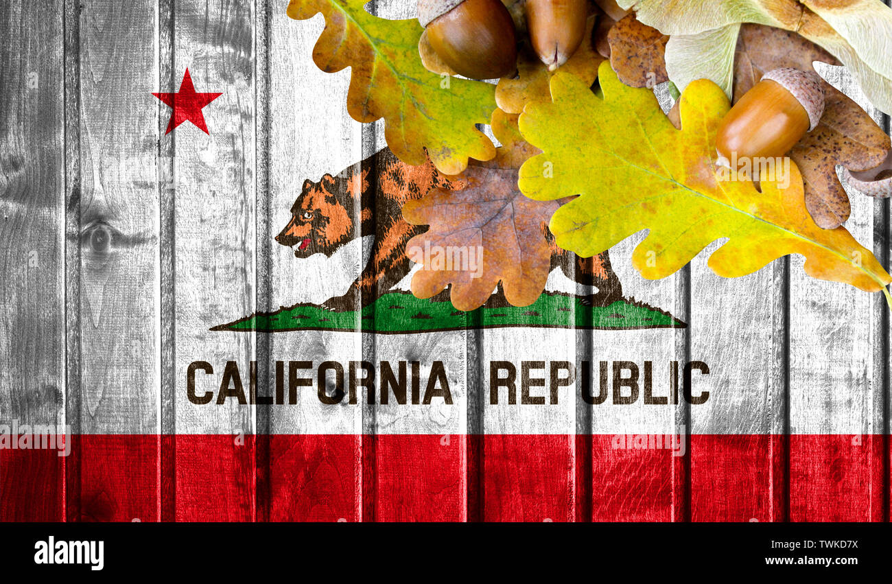 State of California flag on autumn wooden background with leaves and ...