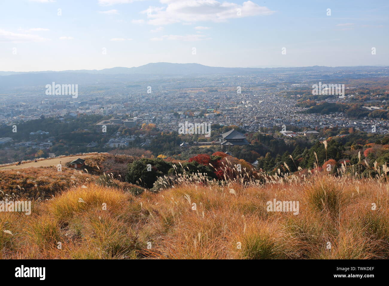 the valley of forest with falling color in nara, with the nara ...