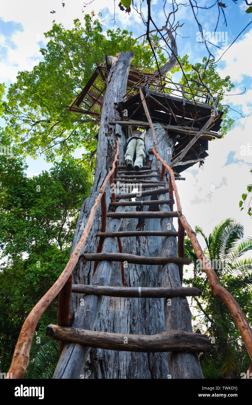 Viewing tower, Kasanka Bat migration, Kasanka National Park, Serenje ...